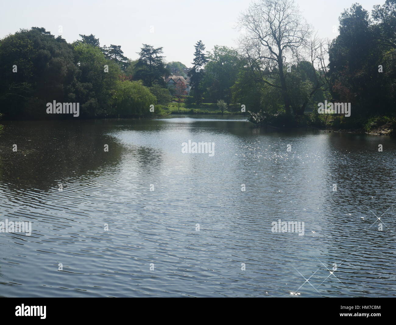 Roath Park Lake, Roath Park, Cardiff, South Wales, UK Stock Photo - Alamy
