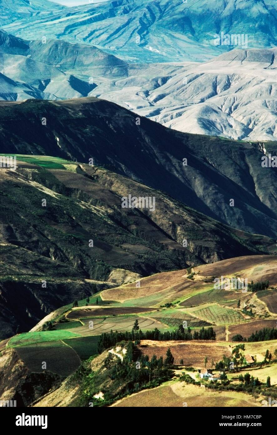 Carchi High Resolution Stock Photography and Images - Alamy