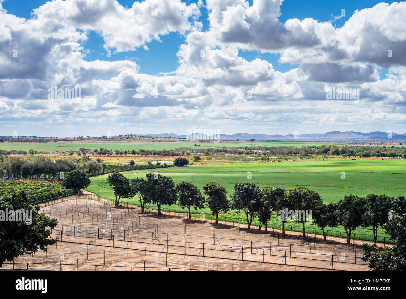 The landscape of Mubuyu Farm, Zambia Stock Photo - Alamy