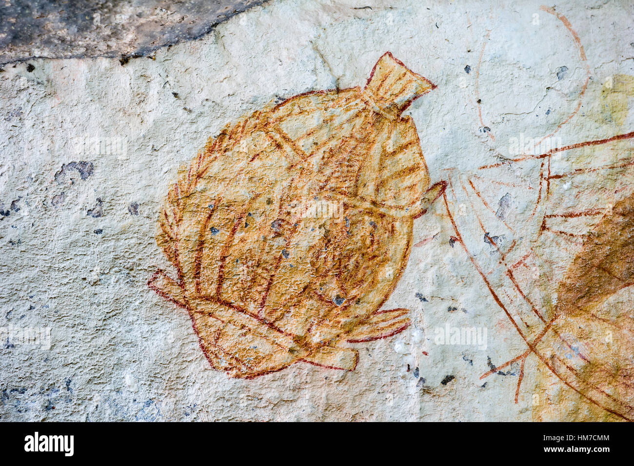 Fish art aboriginal indigenous hi-res stock photography and images - Alamy