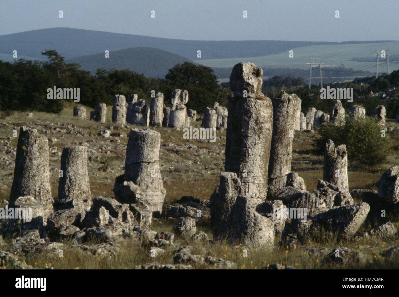 Cylindrical limestone monoliths in the petrified forest of Pobiti ...