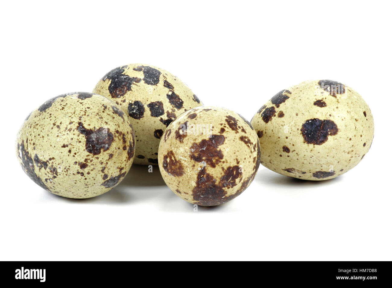 quail eggs isolated on white background Stock Photo - Alamy