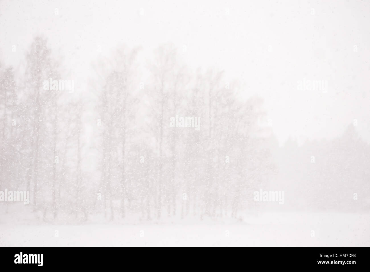 4 Season winter,beautiful,clean,cool,falling,Finland,freeze,fresh,frost ...