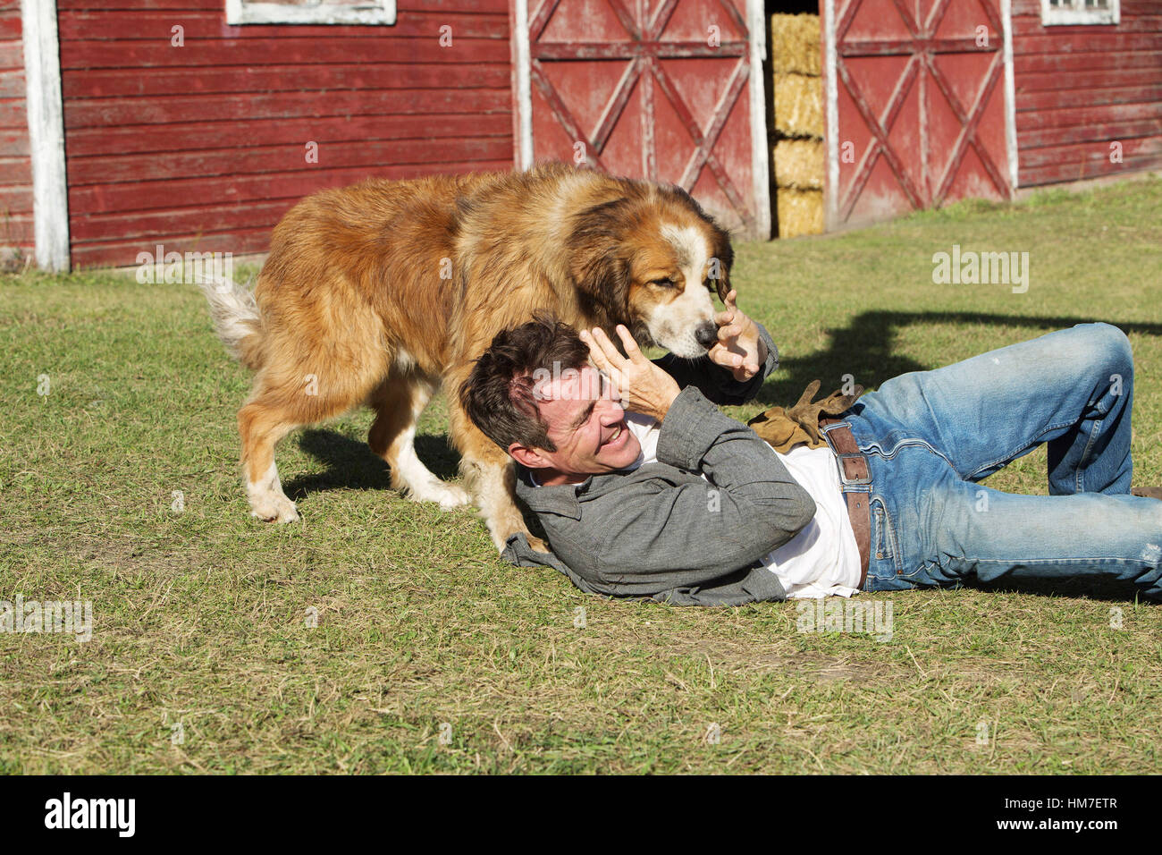 A DOG'S PURPOSE, Dennis Quaid, 2017. ph: Joe Lederer /© Universal ...