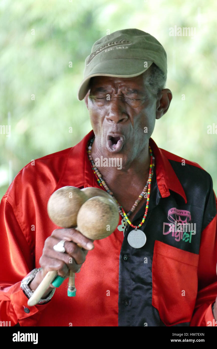 Singer / entertainer on the caribbean island of Grenada Stock Photo - Alamy