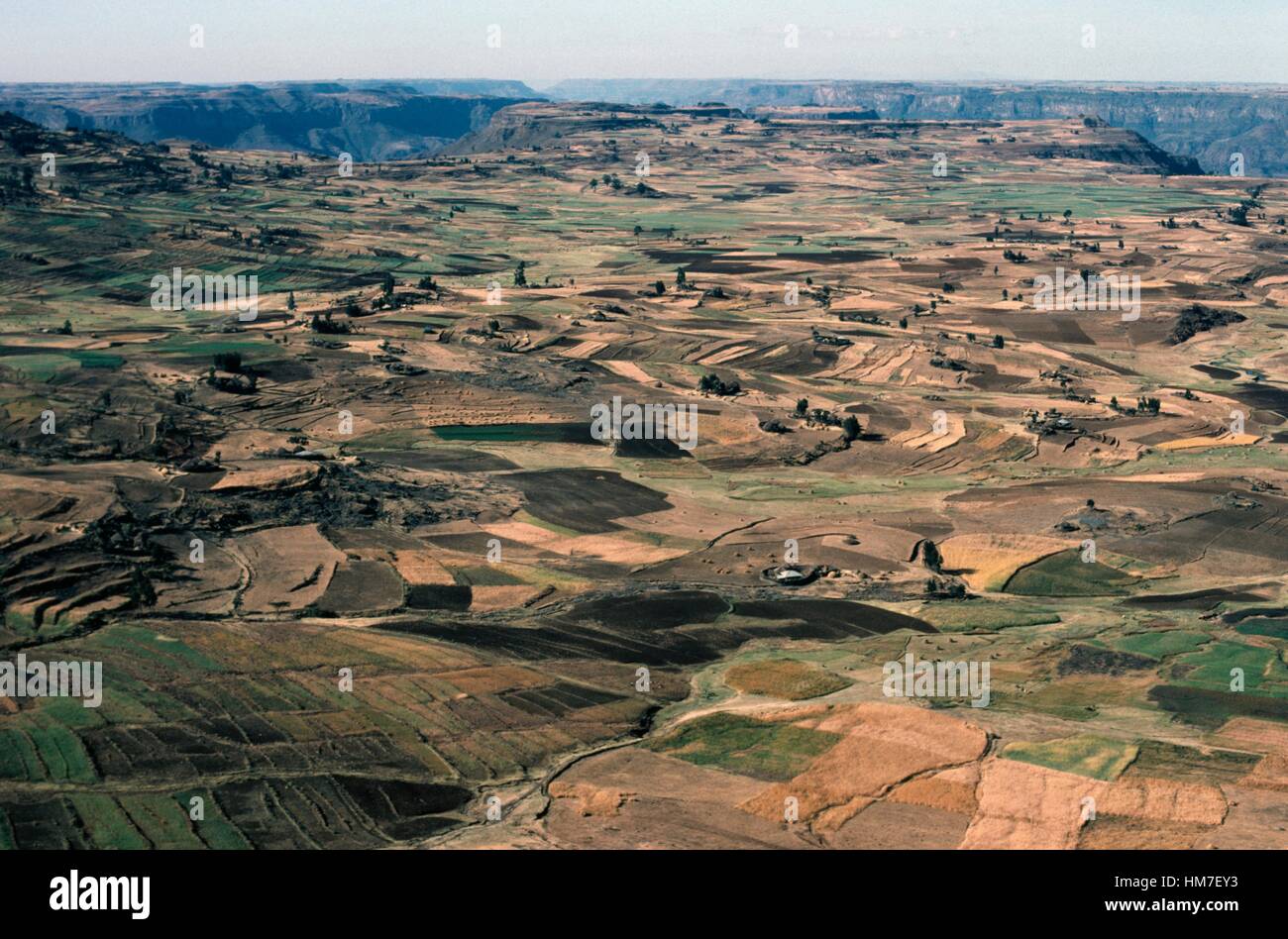 Shewa hi-res stock photography and images - Alamy