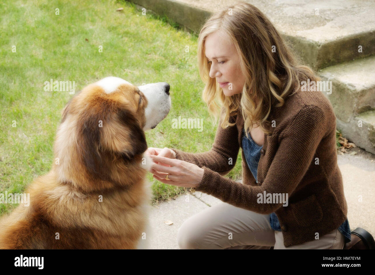 A Dogs Purpose Breed