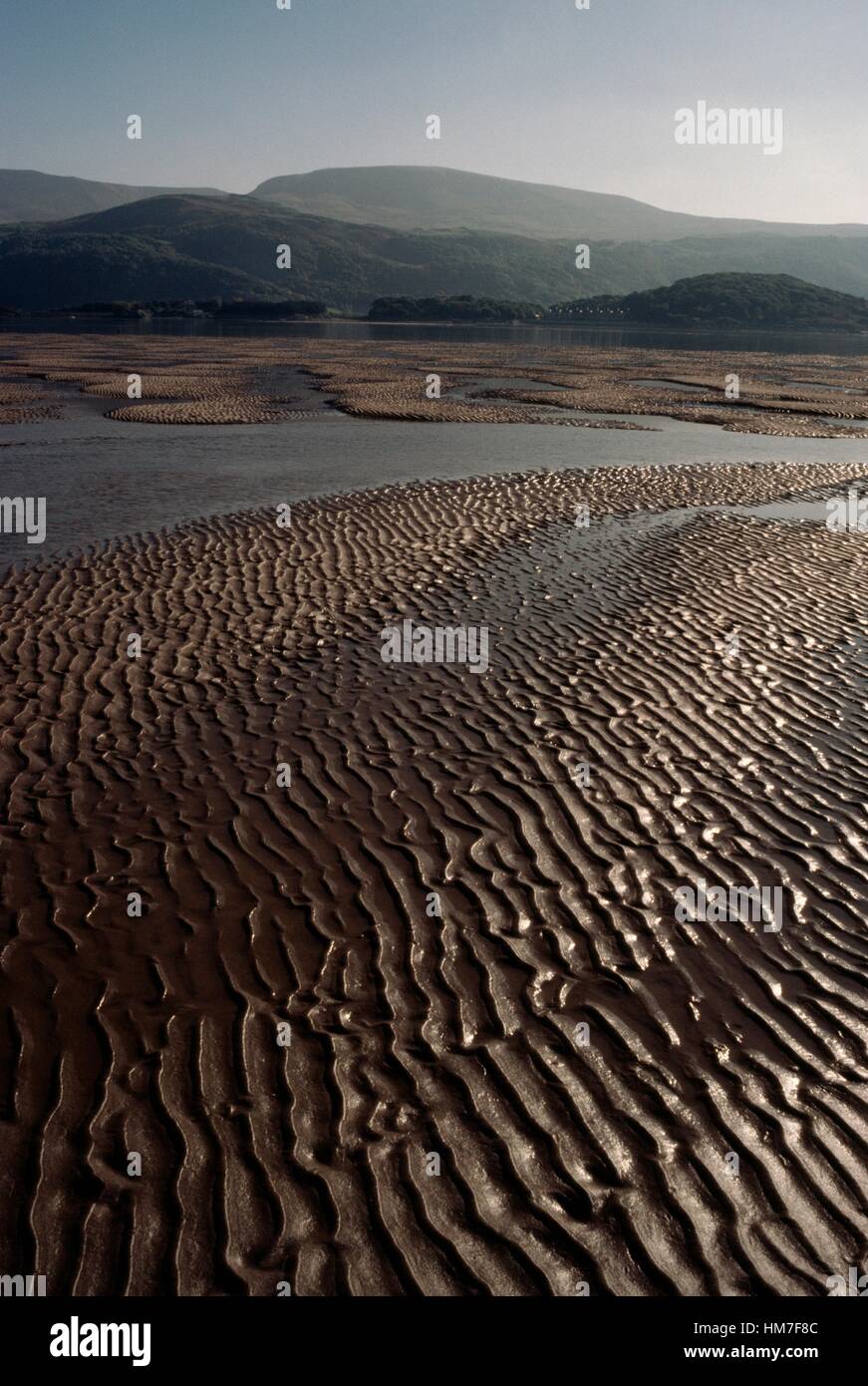 Sand banks in estuary hi-res stock photography and images - Alamy