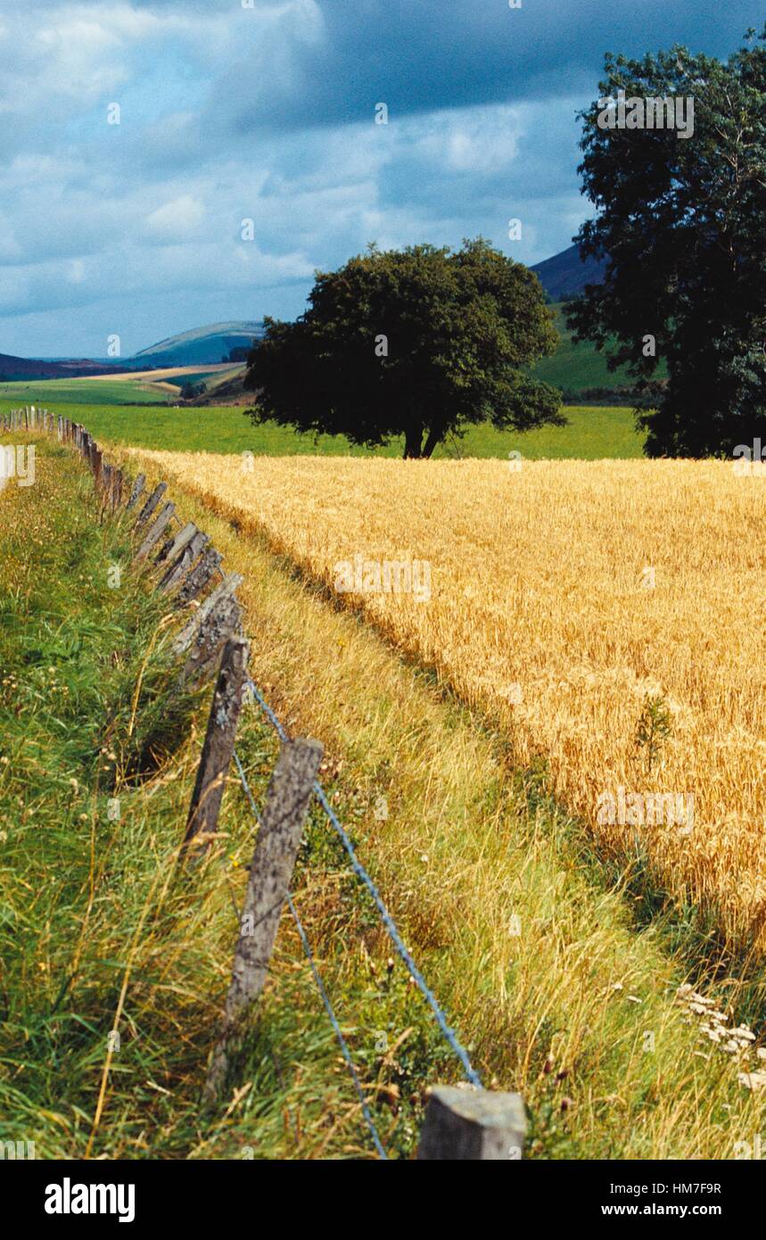 Livet valley hi-res stock photography and images - Alamy