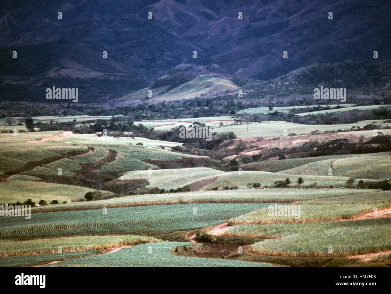 Sonsonate hi-res stock photography and images - Alamy