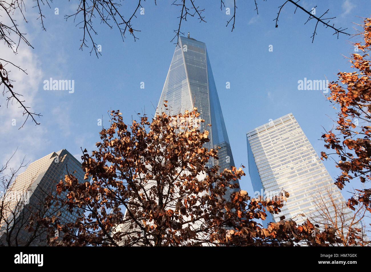 One World Trade Center from the street level, New York Stock Photo - Alamy