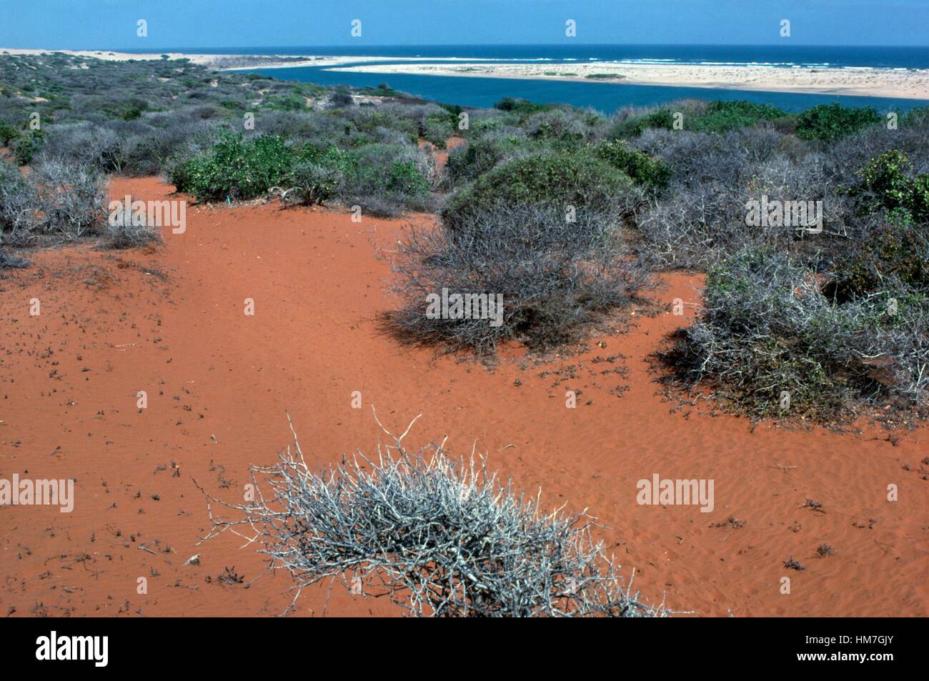The Jubba River near its mouth, Somalia Stock Photo - Alamy