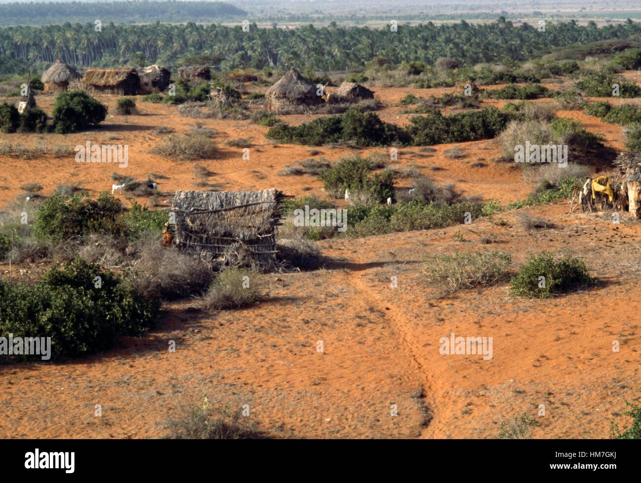 Arid landscape with a village, Lower Juba, Somalia Stock Photo - Alamy