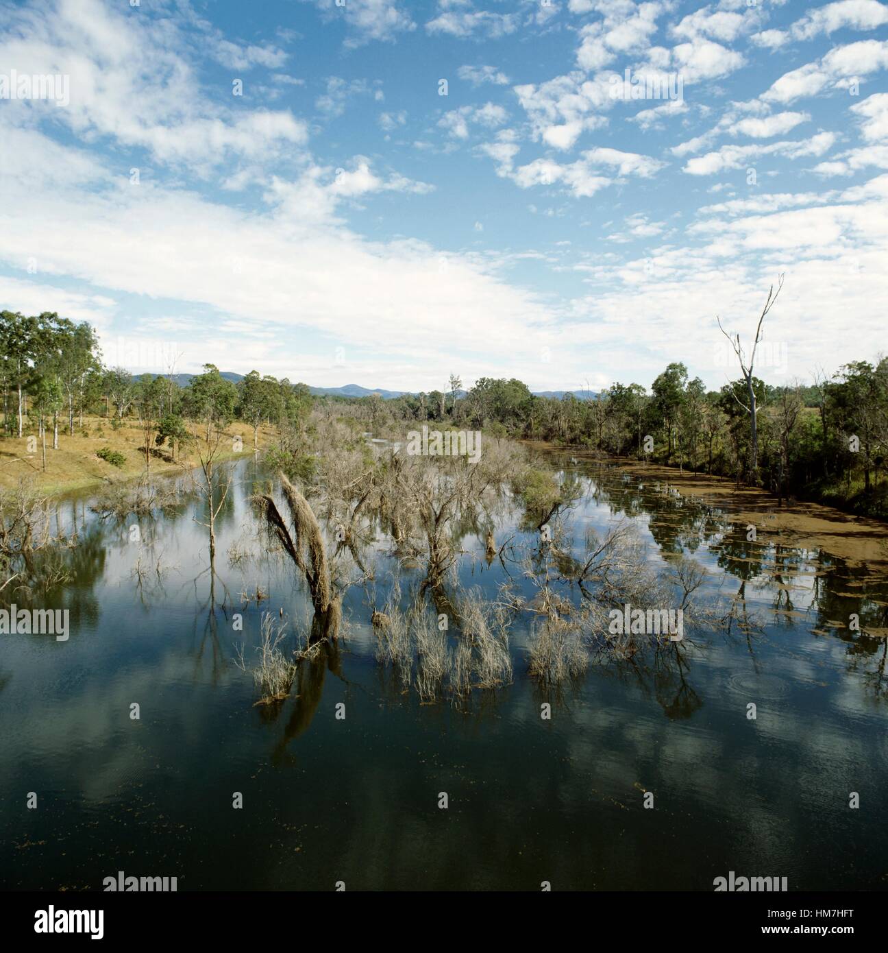 Vegetation in kolan river hi-res stock photography and images - Alamy