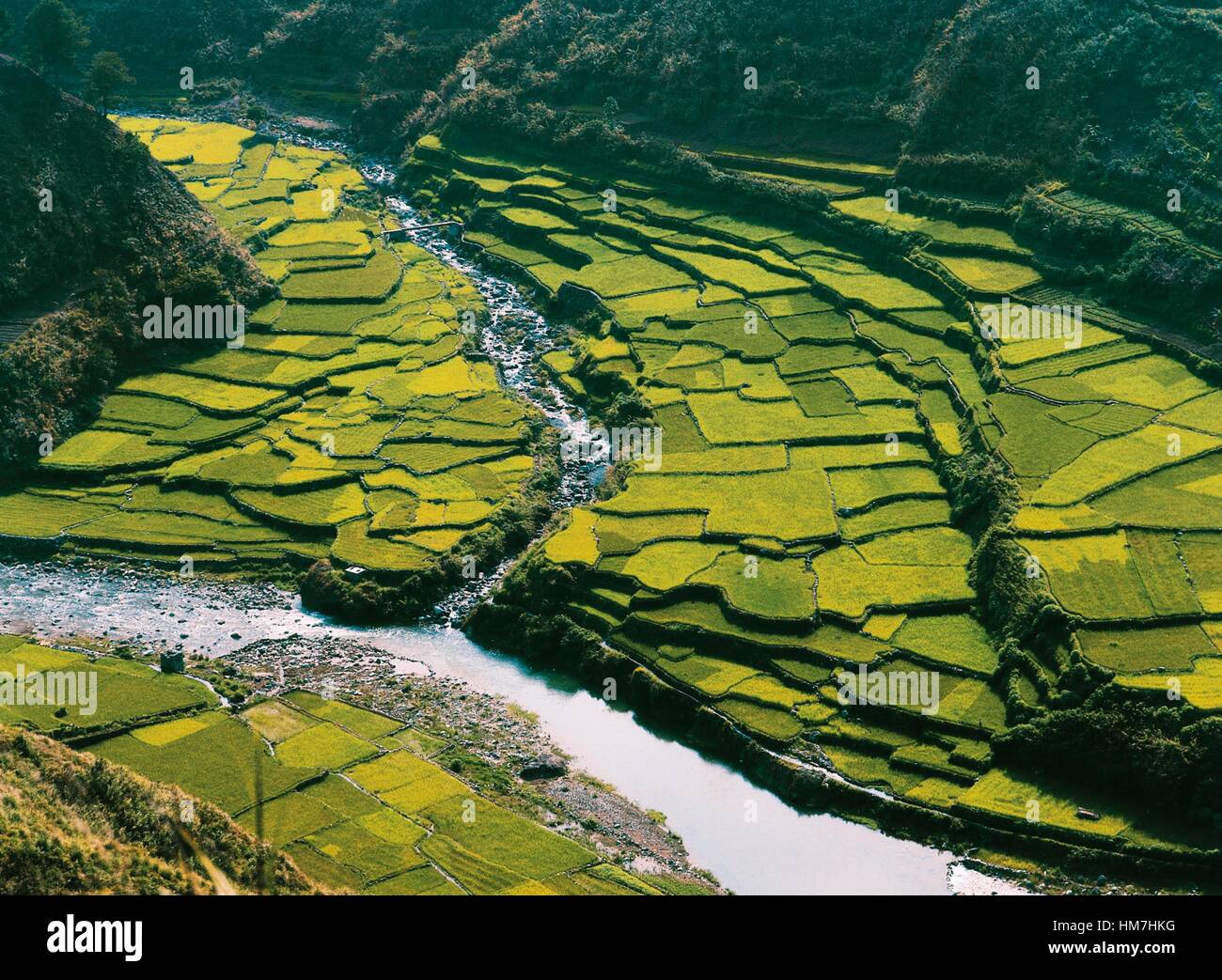 Rice fields near Bontoc, Luzon island, Philippines Stock Photo - Alamy