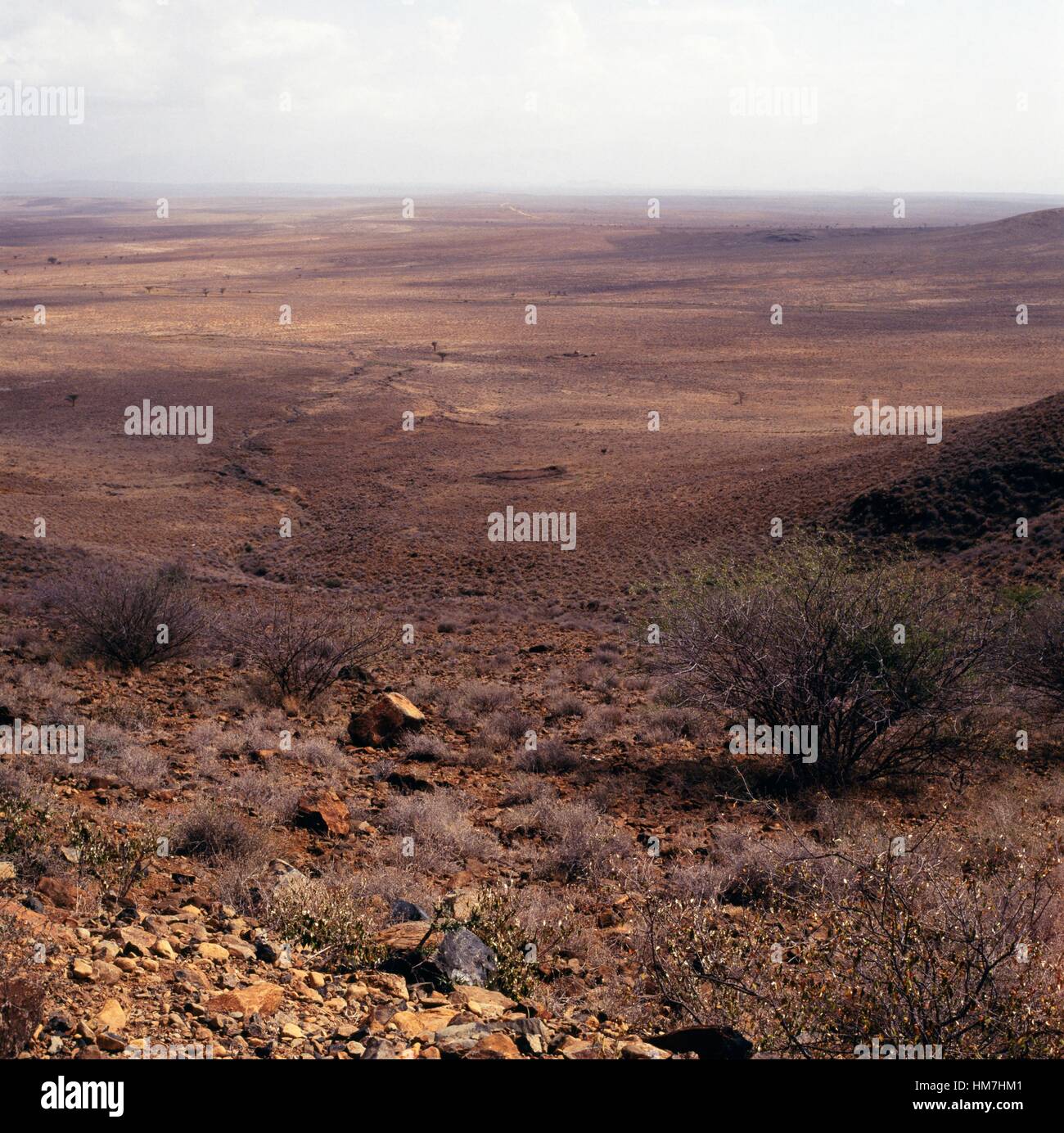 Lake turkana nature hi-res stock photography and images - Alamy