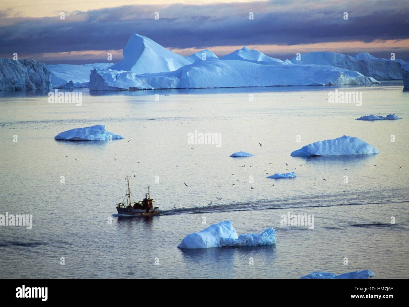 Fishing boat among the icebergs in Disko bay, Qaasuitsup, Greenland ...