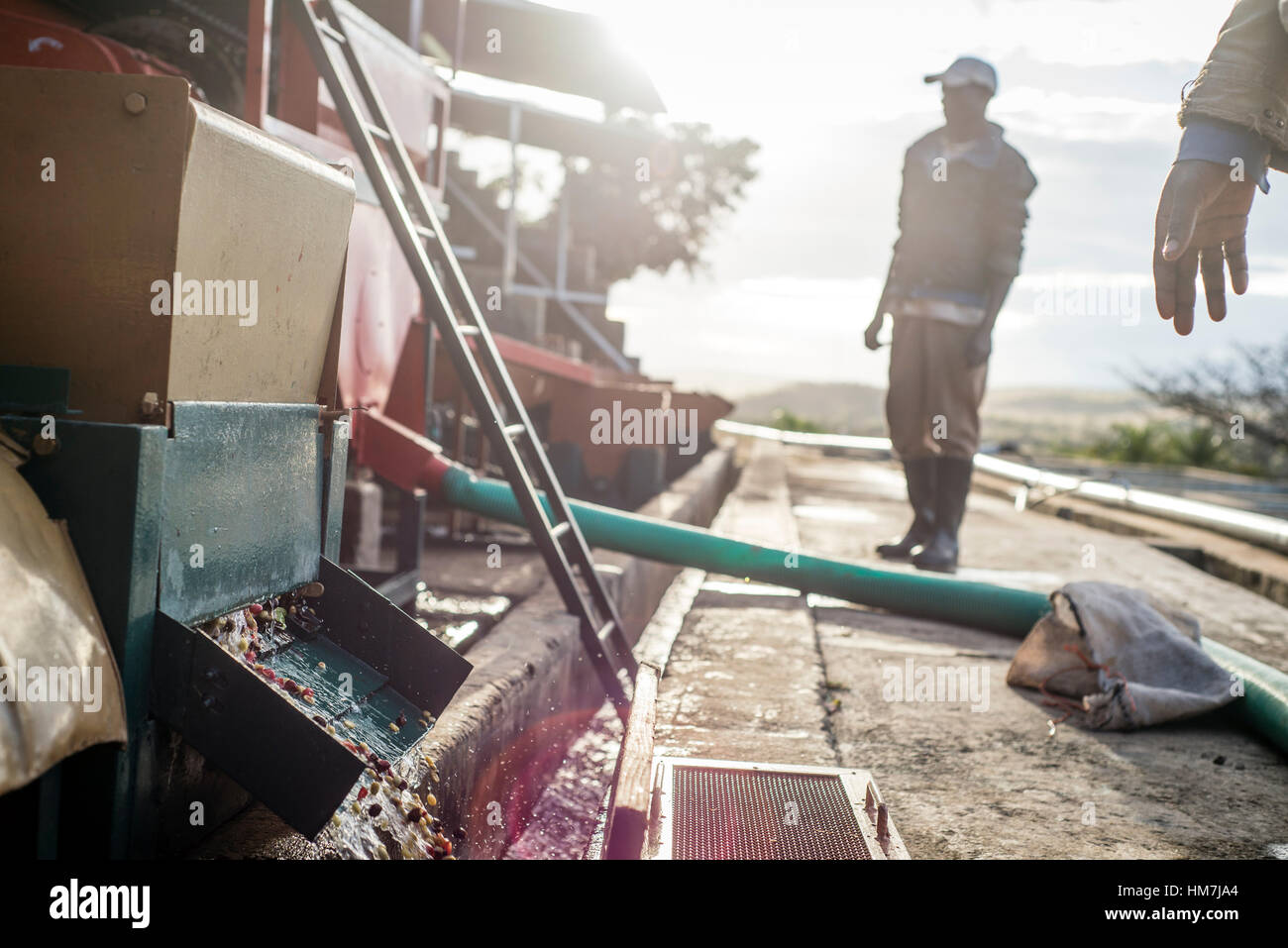 Coffee pulper machine hi-res stock photography and images - Alamy