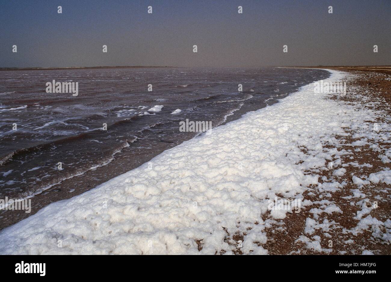 Salt deposits, Lake Retba or Lac Rose, Senegal Stock Photo - Alamy