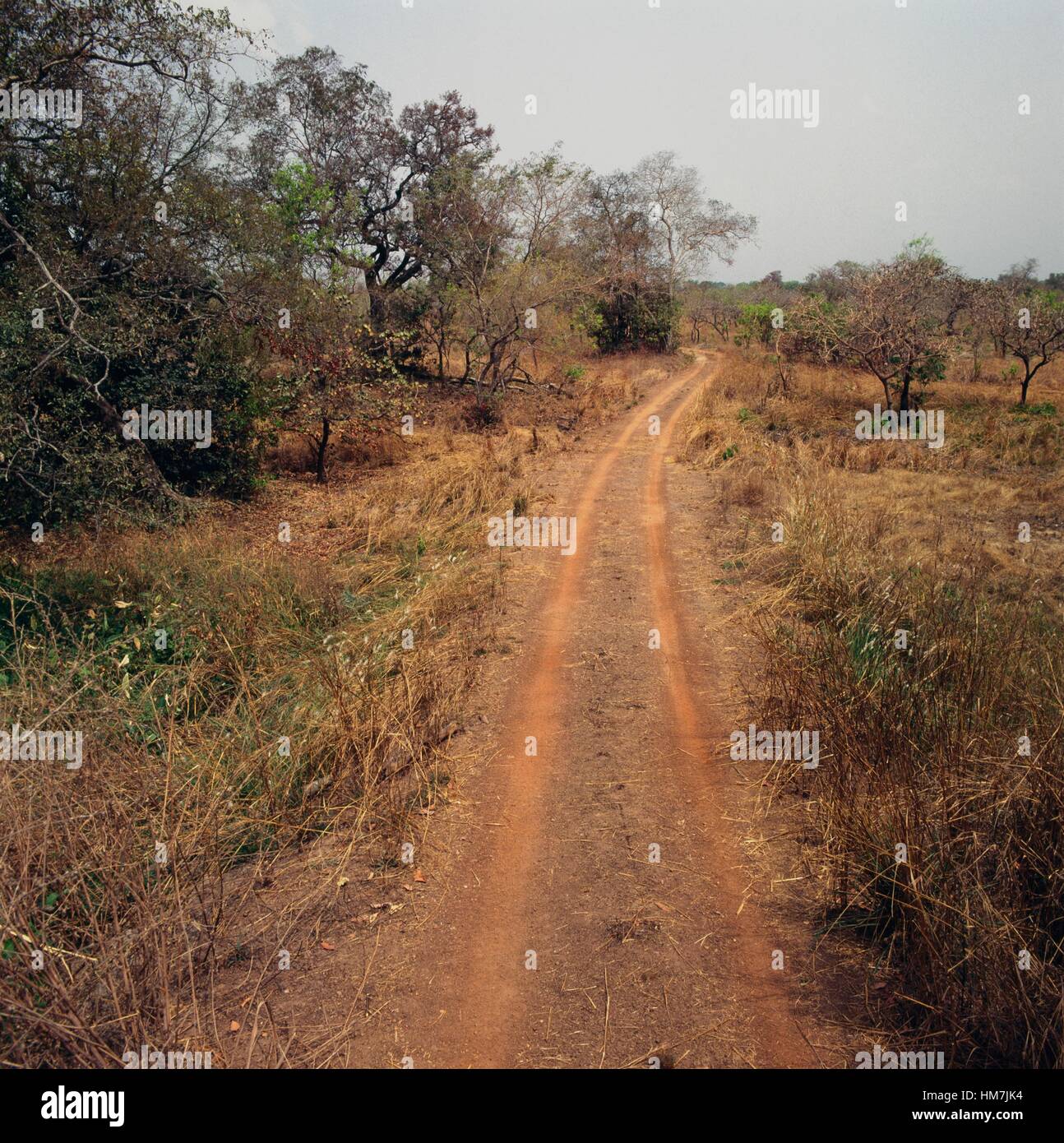 Comoe national park hi-res stock photography and images - Alamy