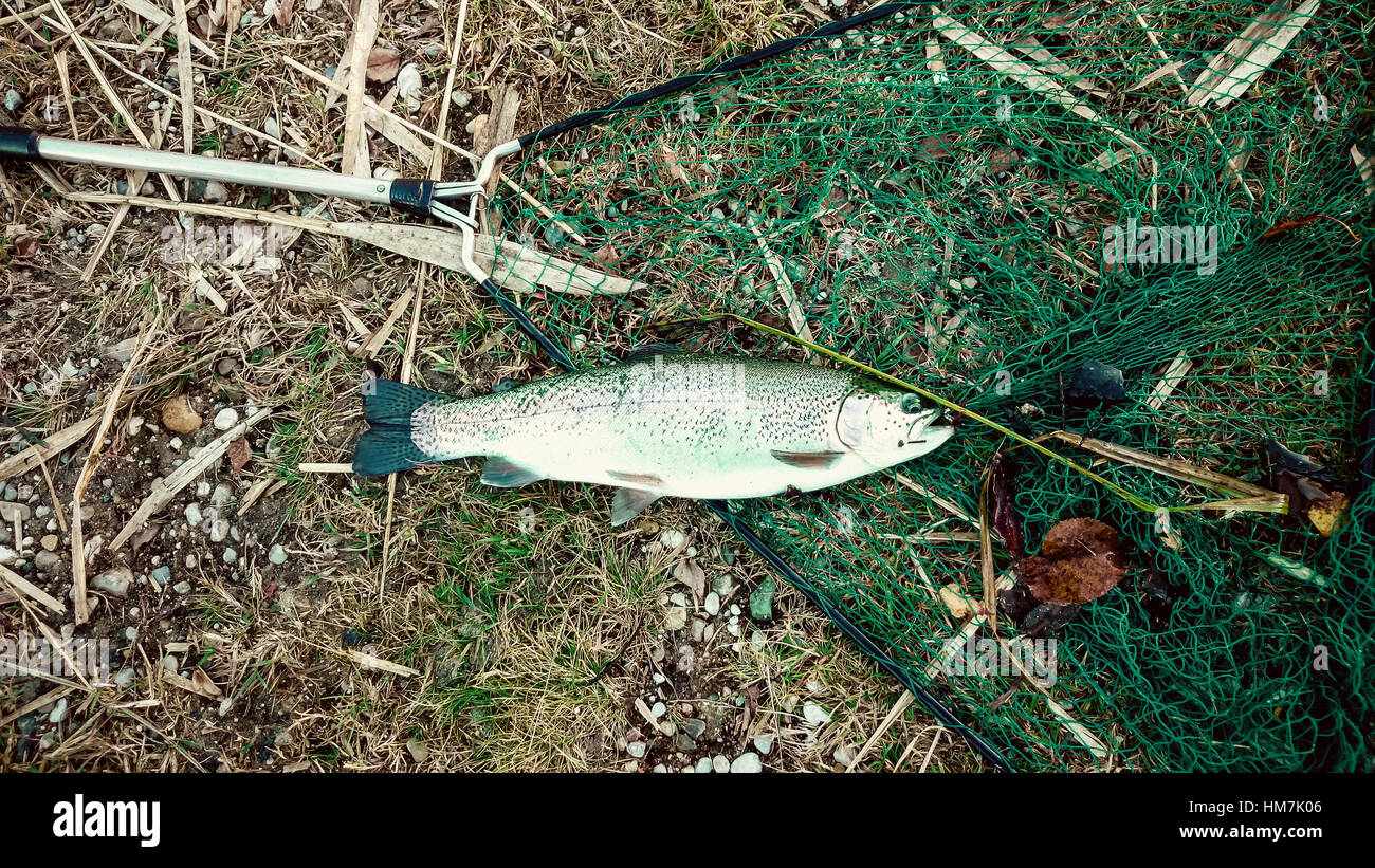 Landing freshly caught fish hi-res stock photography and images - Alamy