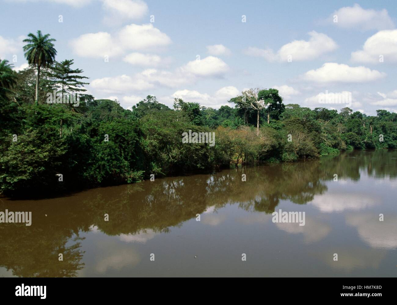 The Bafing river near Biankouma, Ivory Coast Stock Photo - Alamy