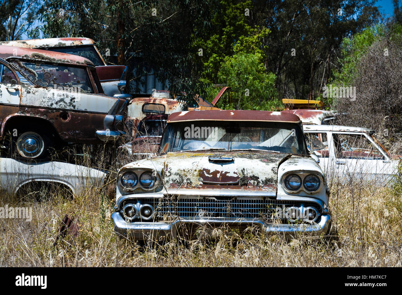 Classic American cars rusting in a field ina rural town Stock Photo - Alamy