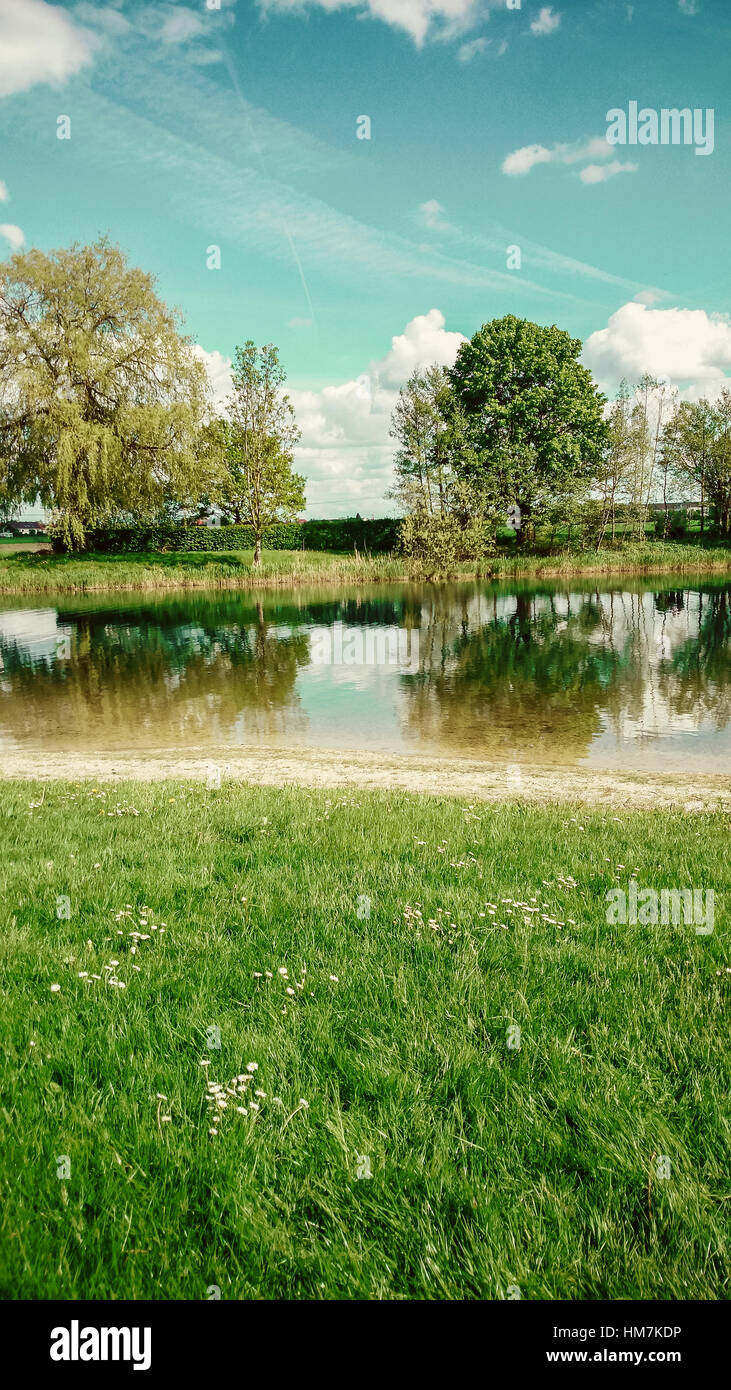 Summer relaxing serene freshwater pond lake, soft focus Stock Photo - Alamy