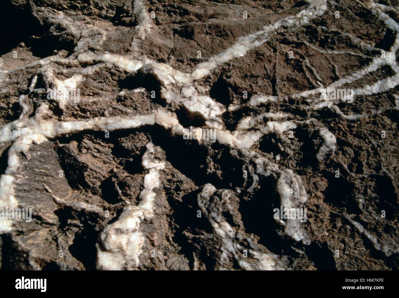 Veins In Gold In Asteroids
