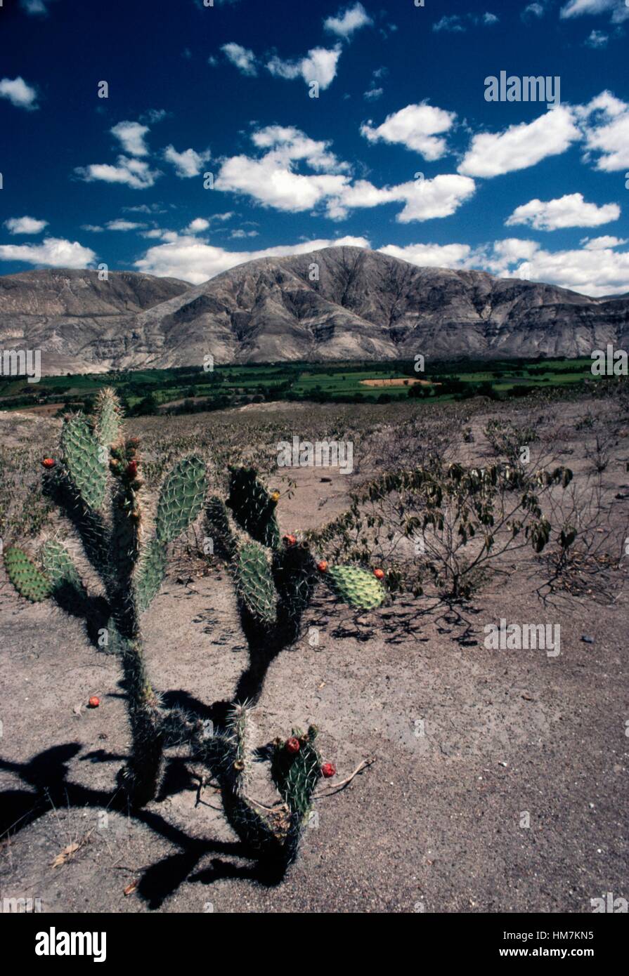 Chota Valley High Resolution Stock Photography and Images - Alamy