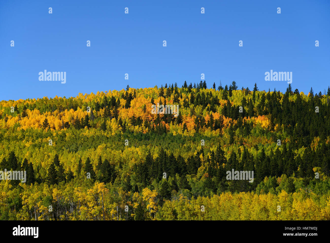 Colorado scenic view hi-res stock photography and images - Alamy