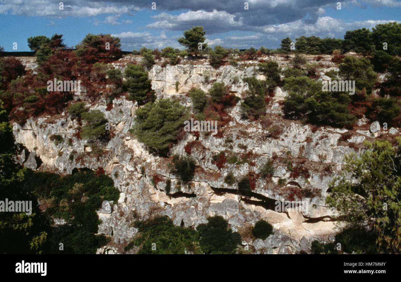 Petruscio ravine, Mottola, Apulia, Italy Stock Photo - Alamy