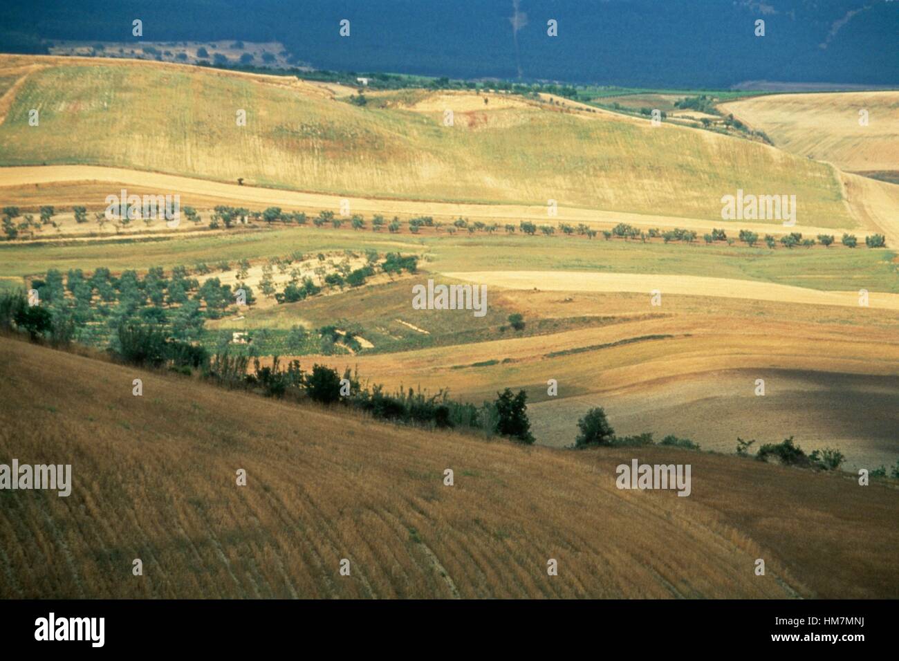 Table of the apulias hi-res stock photography and images - Alamy
