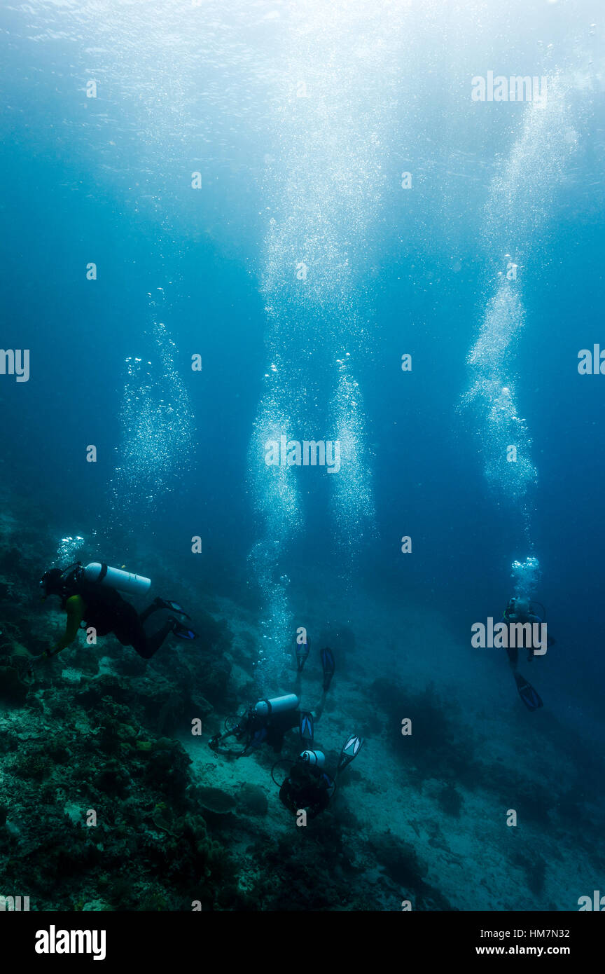 Streams of bubbles cascade to the surface from scuba divers tanks Stock ...