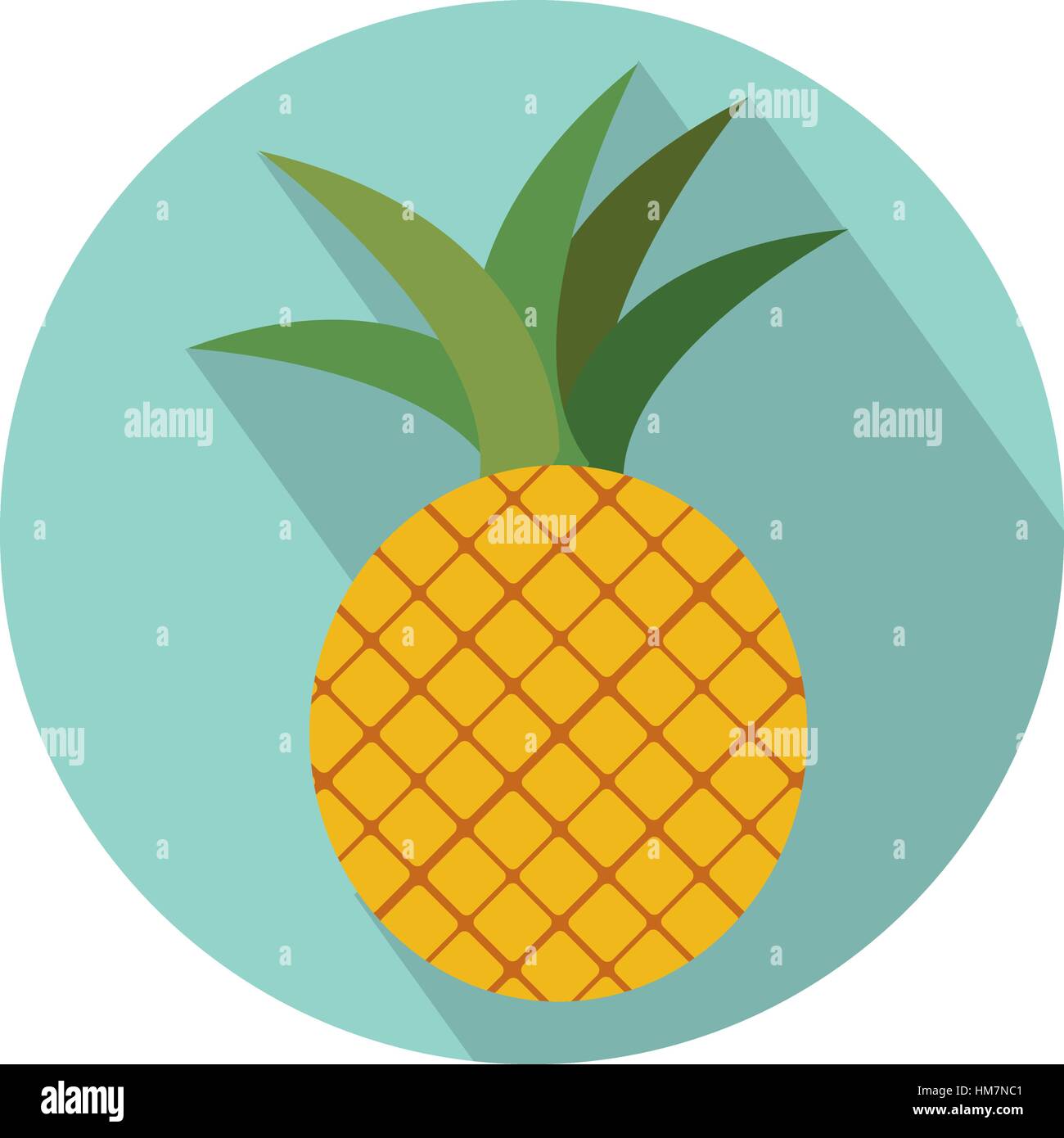 colorful circular shape with pineapple fruit vector illustration Stock ...