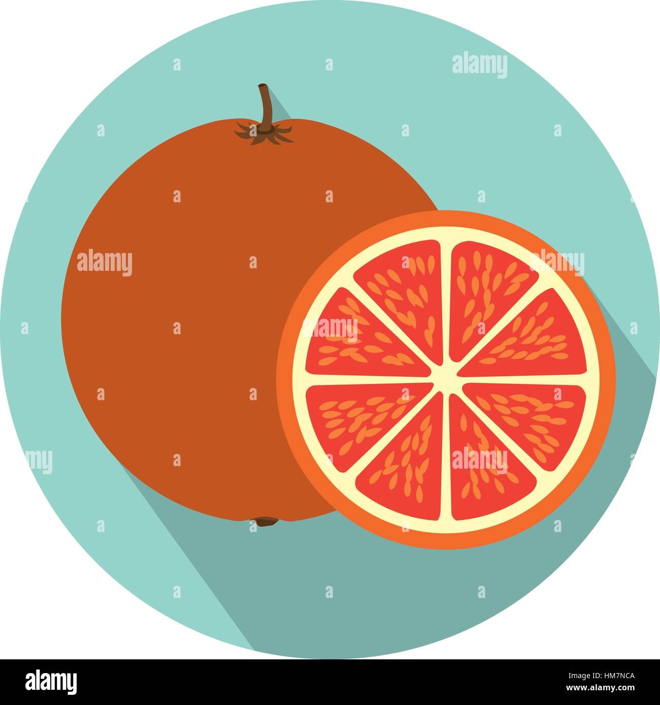colorful circular shape with orange fruit and slice with shading vector ...