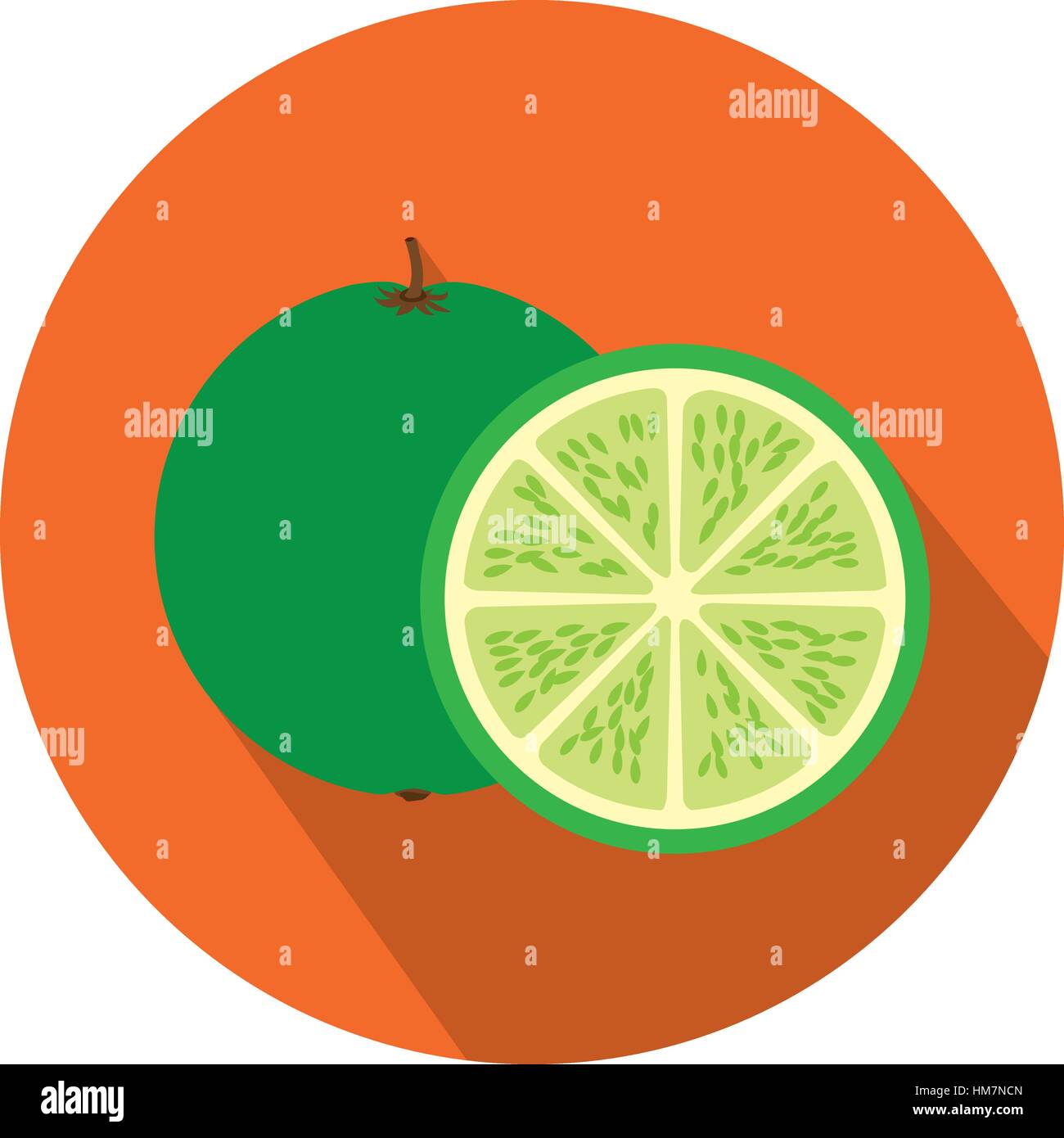 colorful circular shape with lemon fruit and slice vector illustration ...