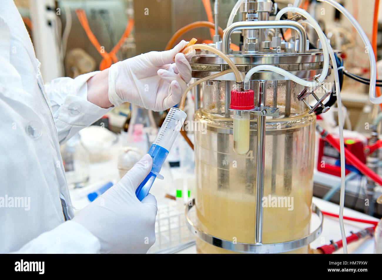 bioreactor in biotechnological laboratory Stock Photo - Alamy
