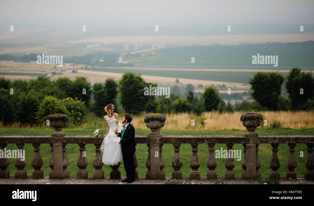 Loving wedding couple at their happy wedding day background old vintage ...