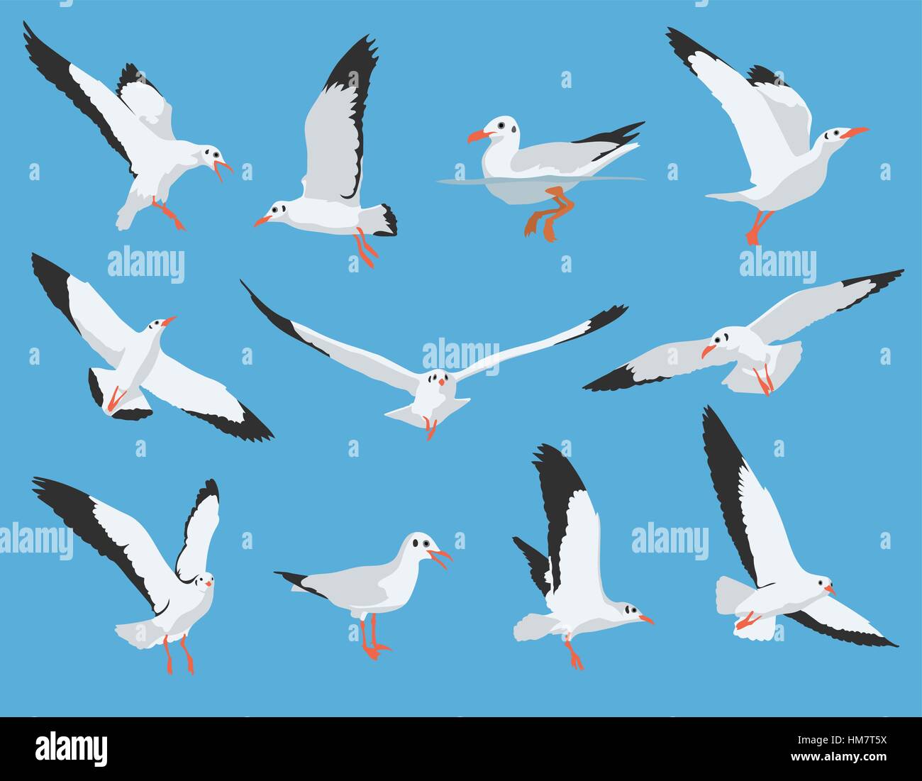 Set of Sea Bird and Seagull Vector Stock Vector Image & Art - Alamy