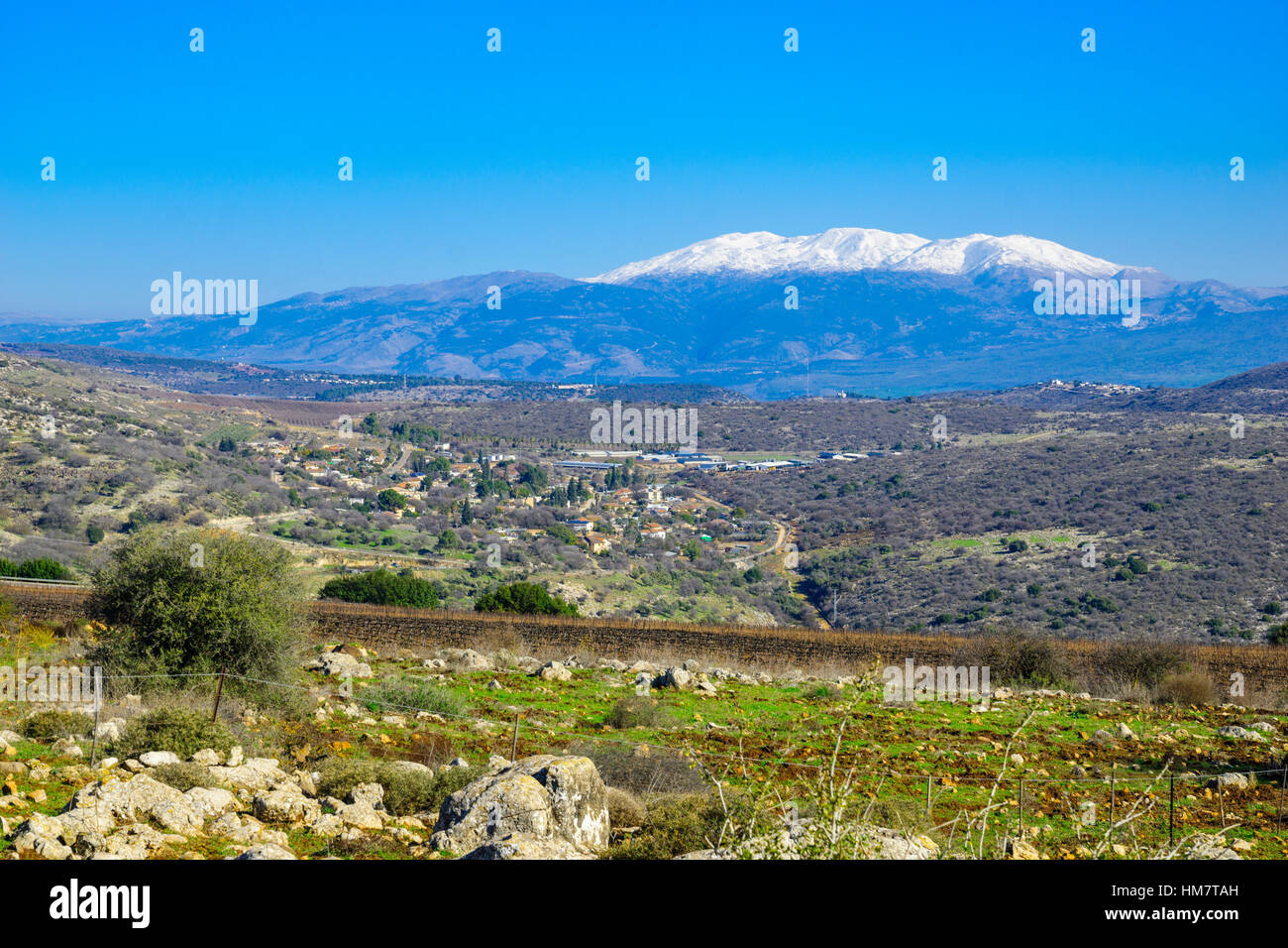 View of the Hula Valley and Mount Hermon, Northern Israel Stock Photo ...