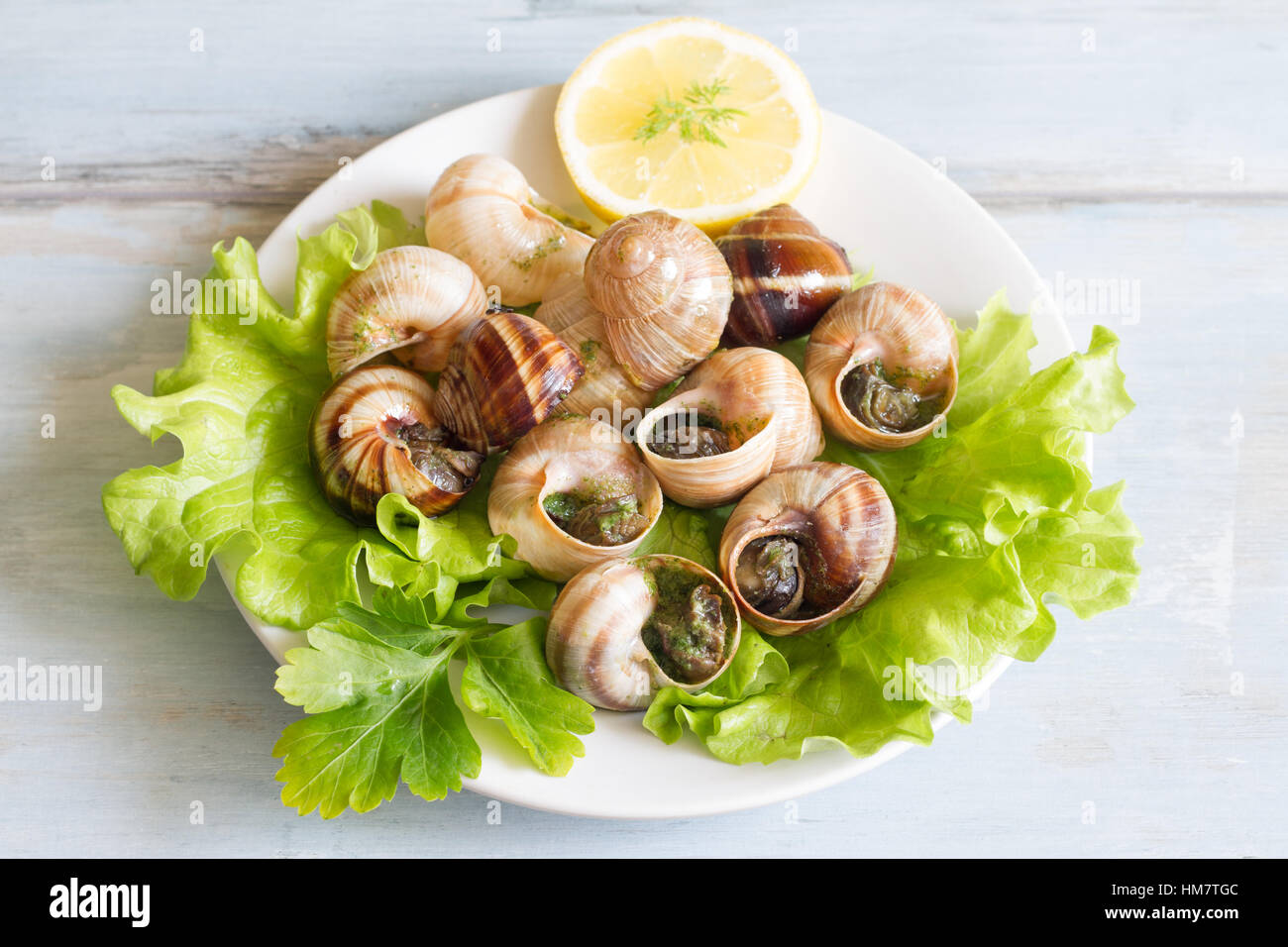 Snails food meal dinner lunch hi-res stock photography and images - Alamy
