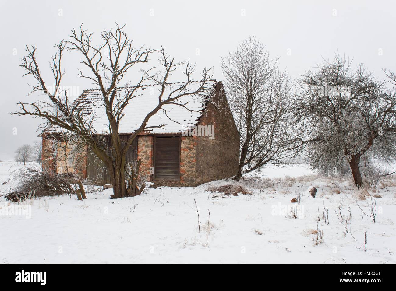 Old abandoned barn in winter. Snow-covered landscape. Rural road in ...