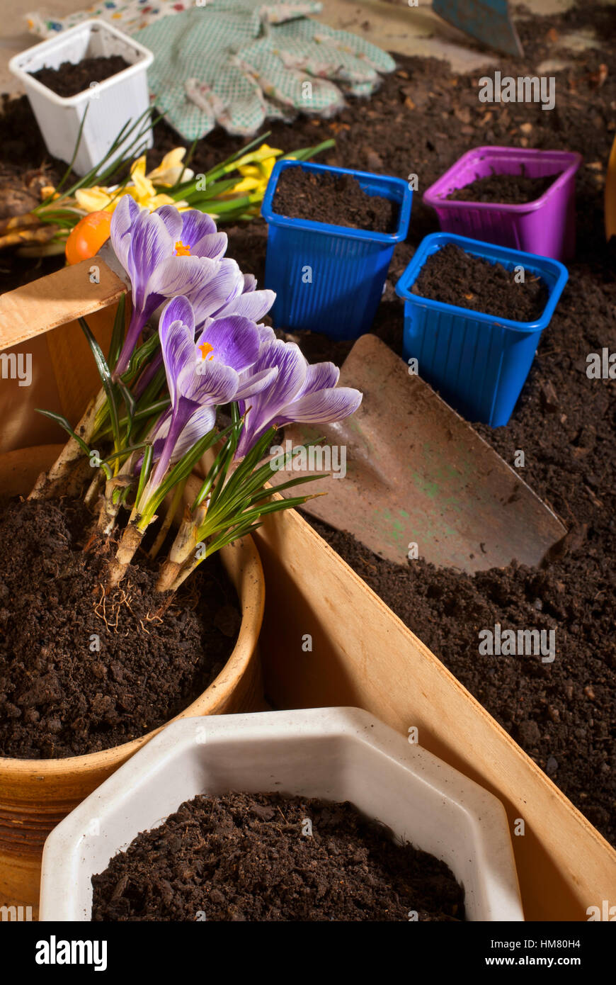 Detail of things to planting flowers Stock Photo - Alamy
