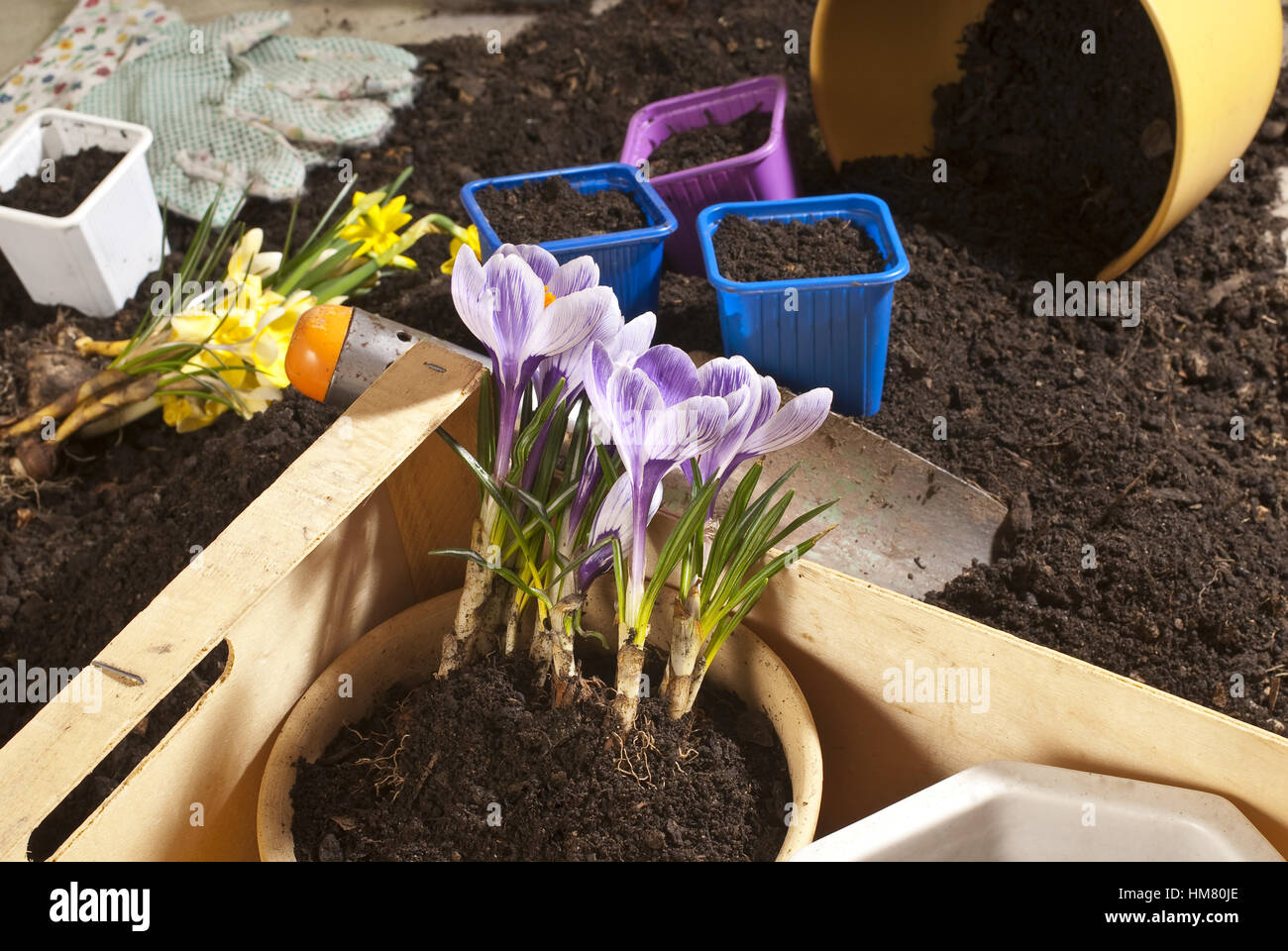 Detail of things to planting flowers Stock Photo - Alamy