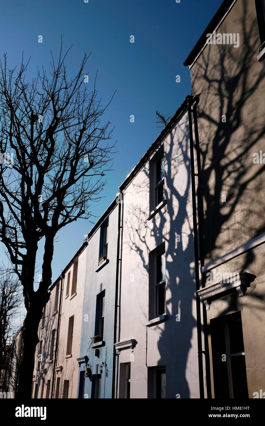 The tree lined Park Street in Brighton with dark shadows being cast ...