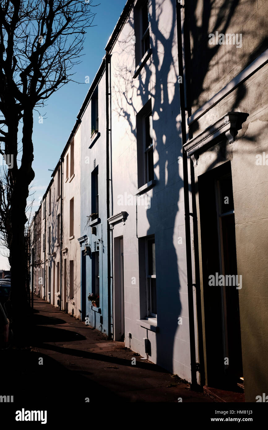 The tree lined Park Street in Brighton with dark shadows being cast ...