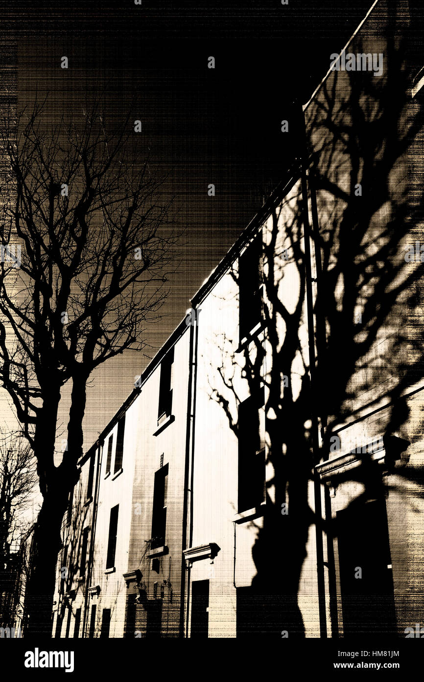 The tree lined Park Street in Brighton with dark shadows being cast ...