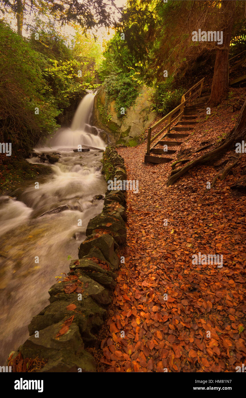 Autumn falls hi-res stock photography and images - Alamy