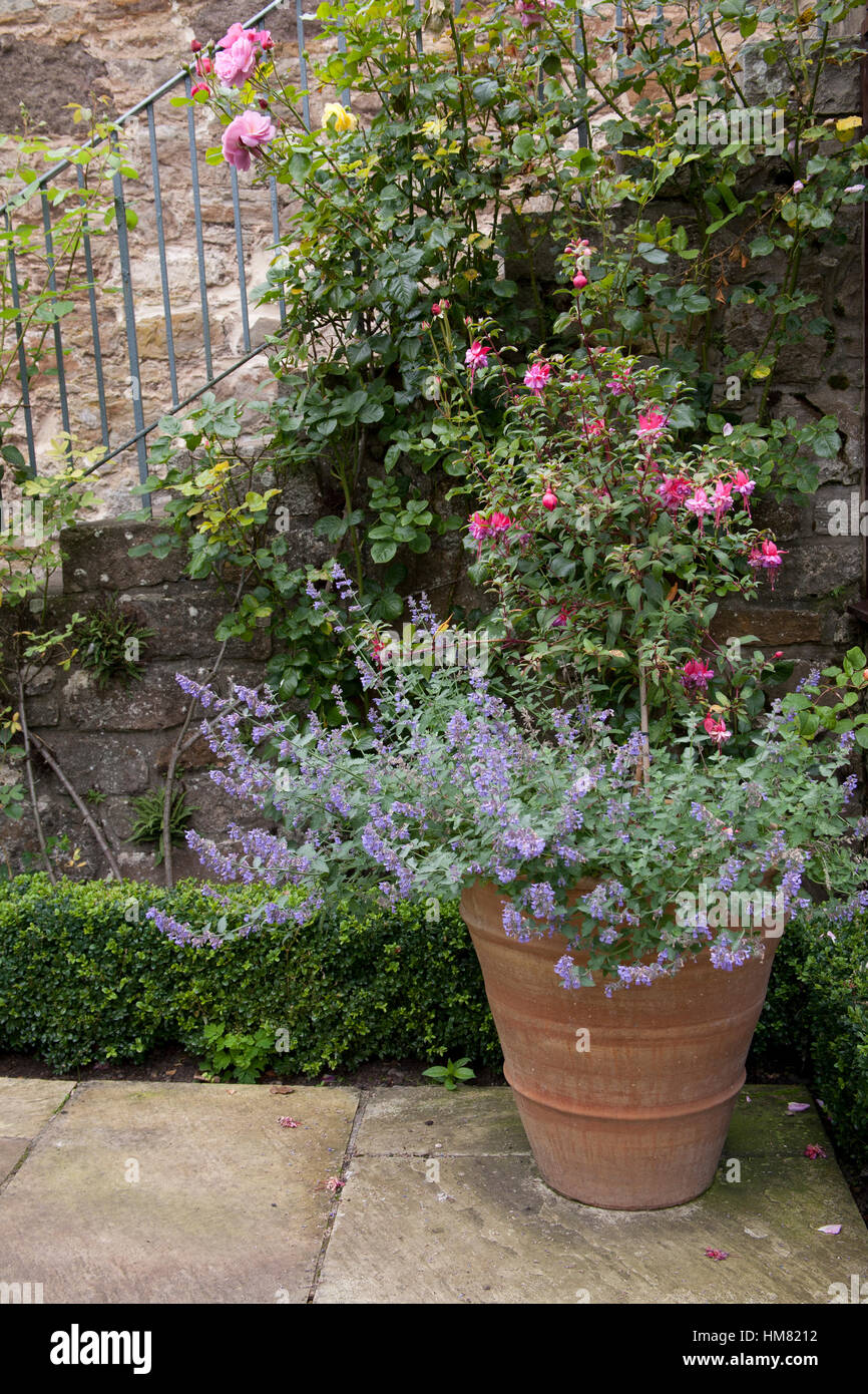 Outdoor living hi-res stock photography and images - Alamy